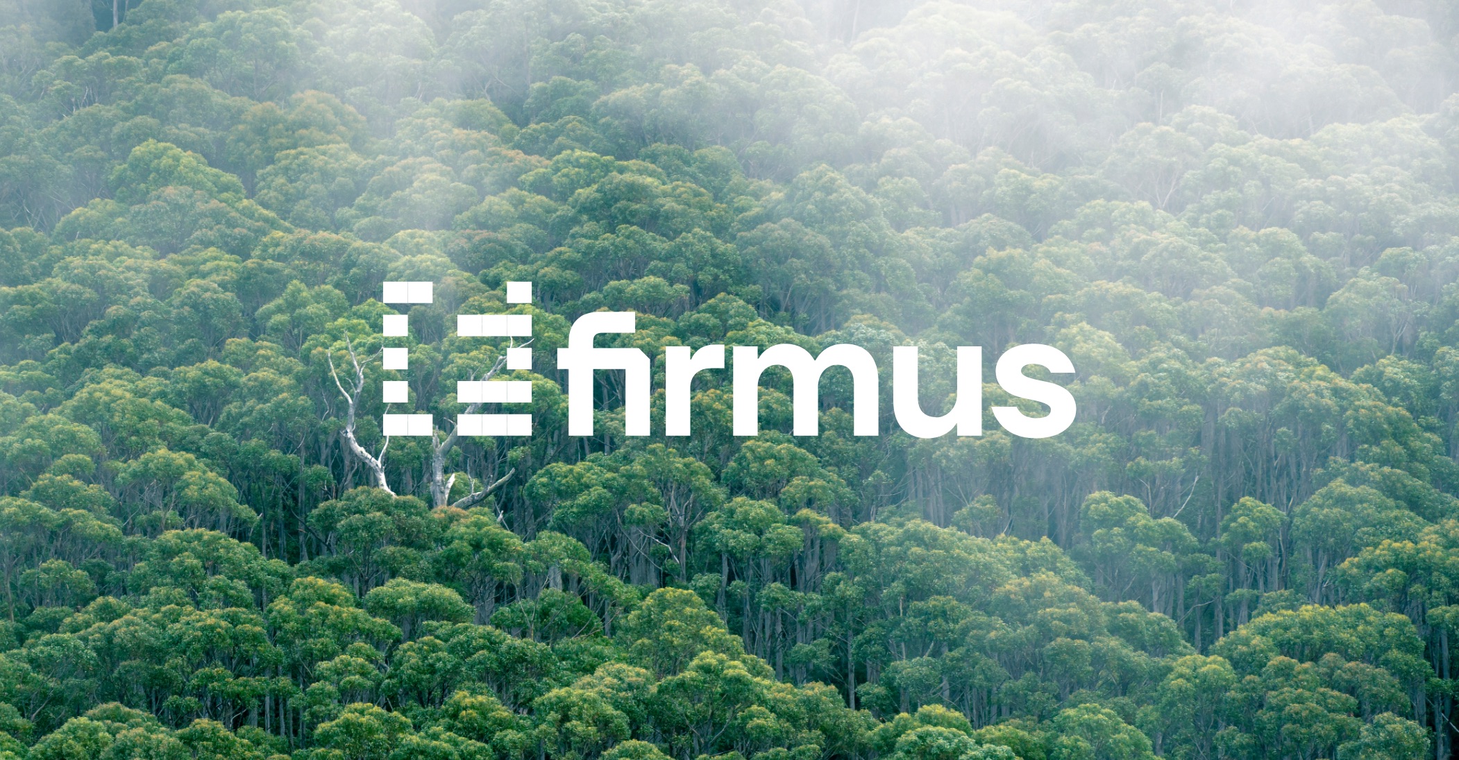 Firmus - Your Creative